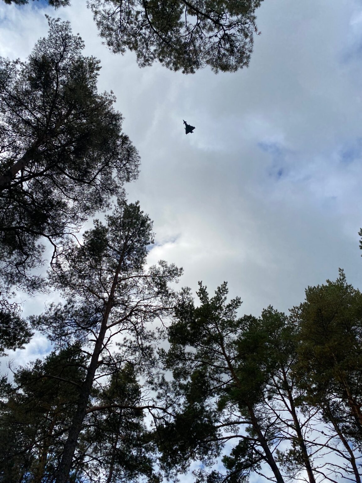 Fear of Landing – This must be the Photograph of the Year